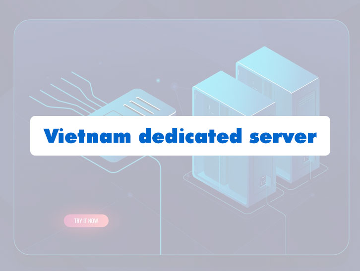 Viet SEO – Dedicated Server Rental Service In Vietnam